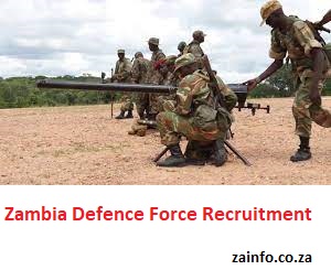 Zambia Defence Force (ZDF) Recruitment 2026-2027 | Form, Requirements ...