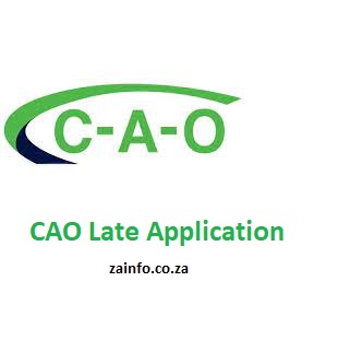 CAO Late Application 2023-2024 | Form, Requirements & Dates - South ...