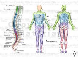 Innervation Learnerships South Africa 2025-2026 - ZA INFO