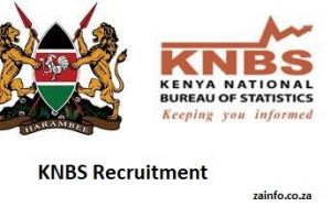 KNBS Recruitment 2024-2025 | Application Form, Dates & Requirements ...