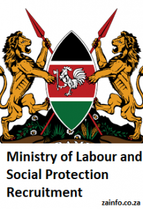 Ministry of Labour and Social Protection Recruitment 2025-2026 ...