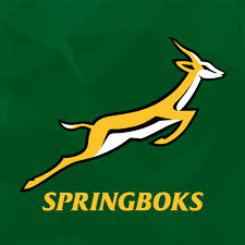 Springboks-Wales: Teams, kick-off time, Stats & Officials - ZA INFO